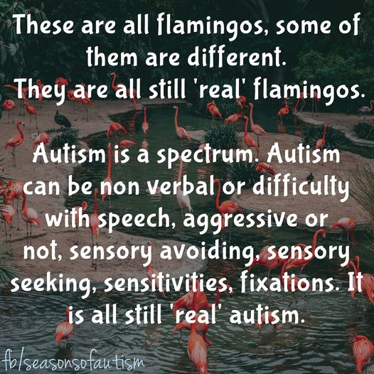 "Real" Autism | A Touch of Ausome